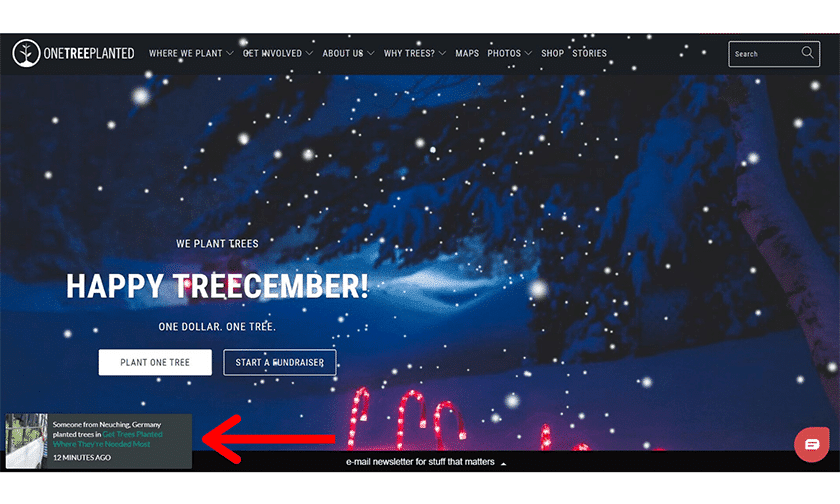 How To Write The Perfect Annual Report (With Examples)