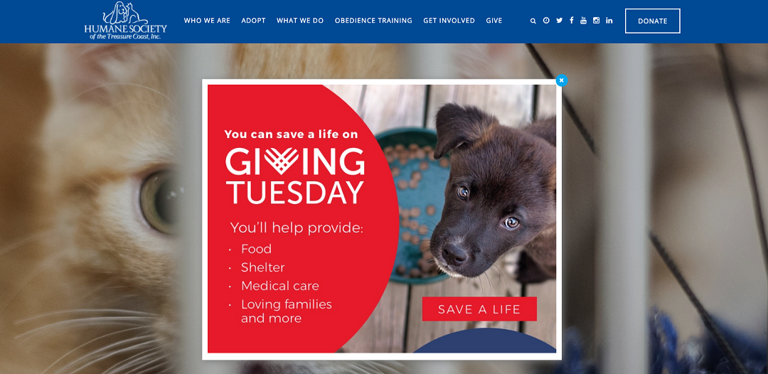 Giving Tuesday: 3 Steps to Create a Successful Digital Campaign