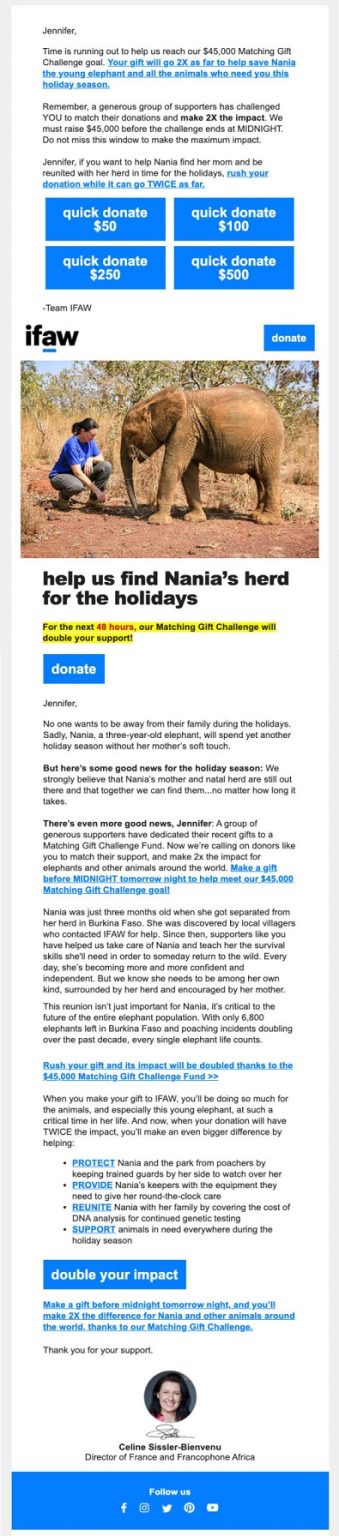 How to Write the Perfect Year End Appeal Letter & Email (With Examples)