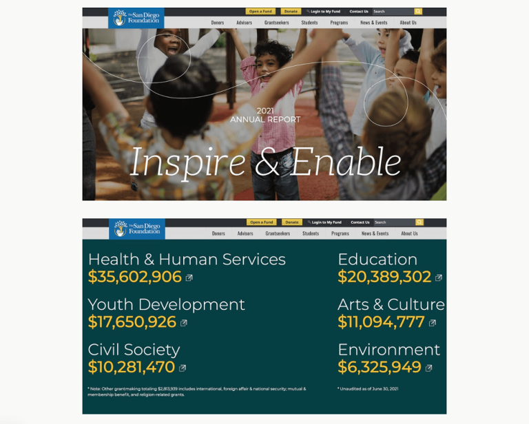 Nonprofit Annual Report Templates and Examples